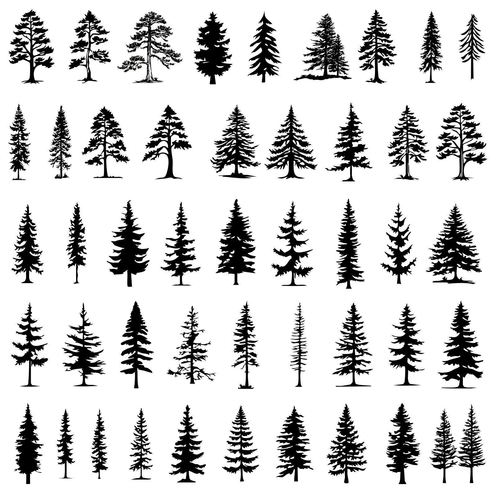 Evergreen Trees Svg / Pine Tree Svg File / Fir Tree Stencil / Forest ...