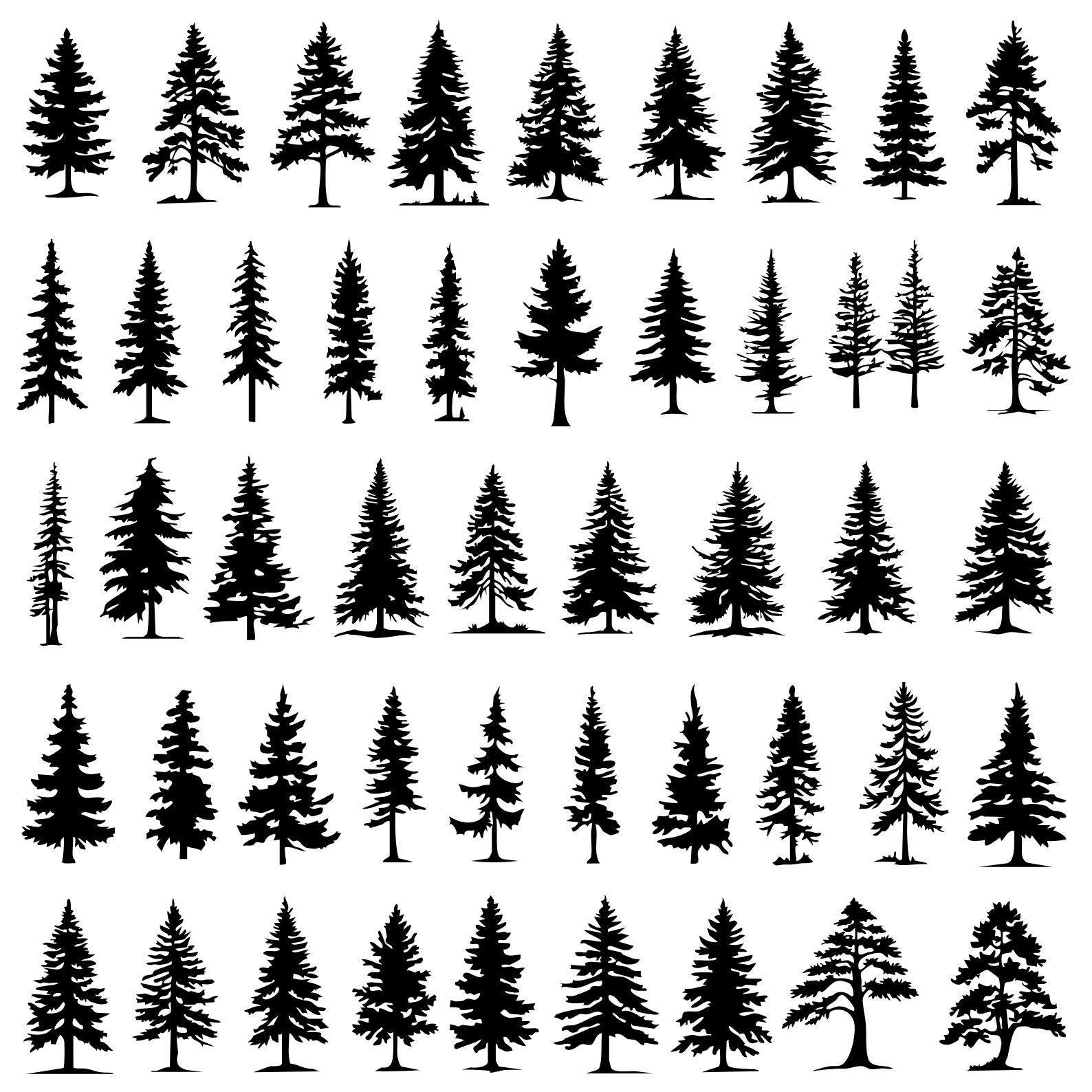 Evergreen Trees Svg / Pine Tree Svg File / Fir Tree Stencil / Forest ...