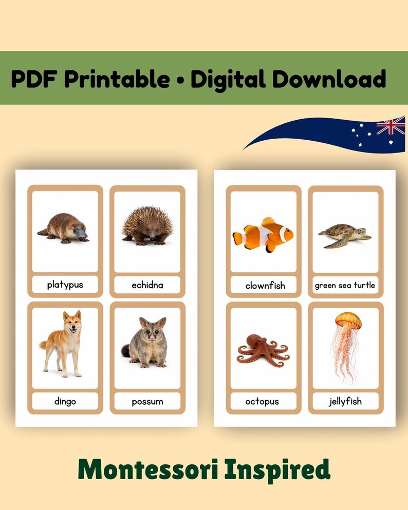 Montessori Australian Animals Flashcards | Printable PDF | Preschool ...