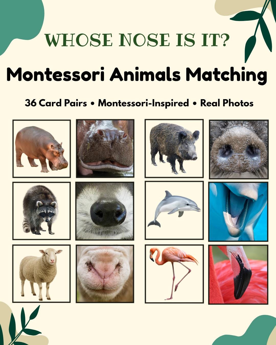 Whose Nose is It? Montessori Animals Matching Game | Printable Sensory ...