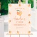 Airplane Birthday Signs Set, Printable Airplane Party Signs, Time Flies ...