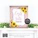 Baby Q Signs Bundle Pink, Baby Q Welcome Sign, BBQ Baby Shower Signs ...