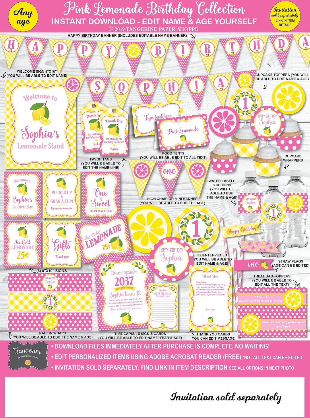 Pink Lemonade Birthday Decorations, Summer Birthday, Girl 1st Birthday ...