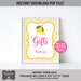 Pink Lemonade Birthday Favor Tag, Lemonade Birthday Decorations ...