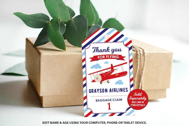 Airplane Food Labels Printable Place Cards Aviator Food - Etsy