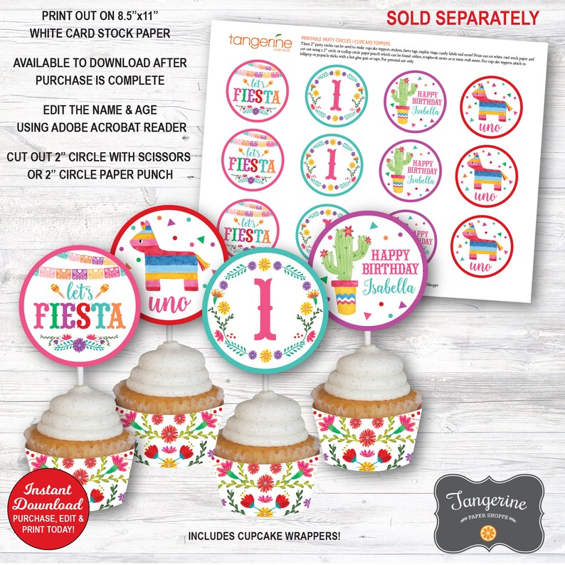 Fiesta Time Capsule First Birthday Sign Fiesta First Birthday - Etsy