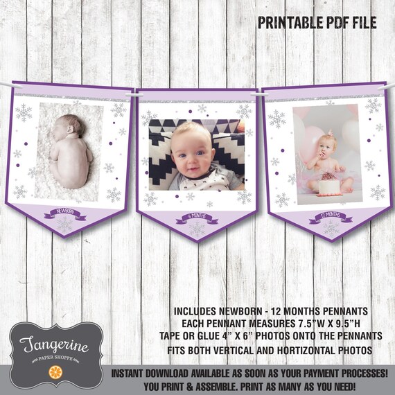 Winter ONEderland Monthly Photo Banner, First Year Banner, Winter ...