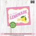 Pink Lemonade Birthday Favor Tag, Lemonade Birthday Decorations ...
