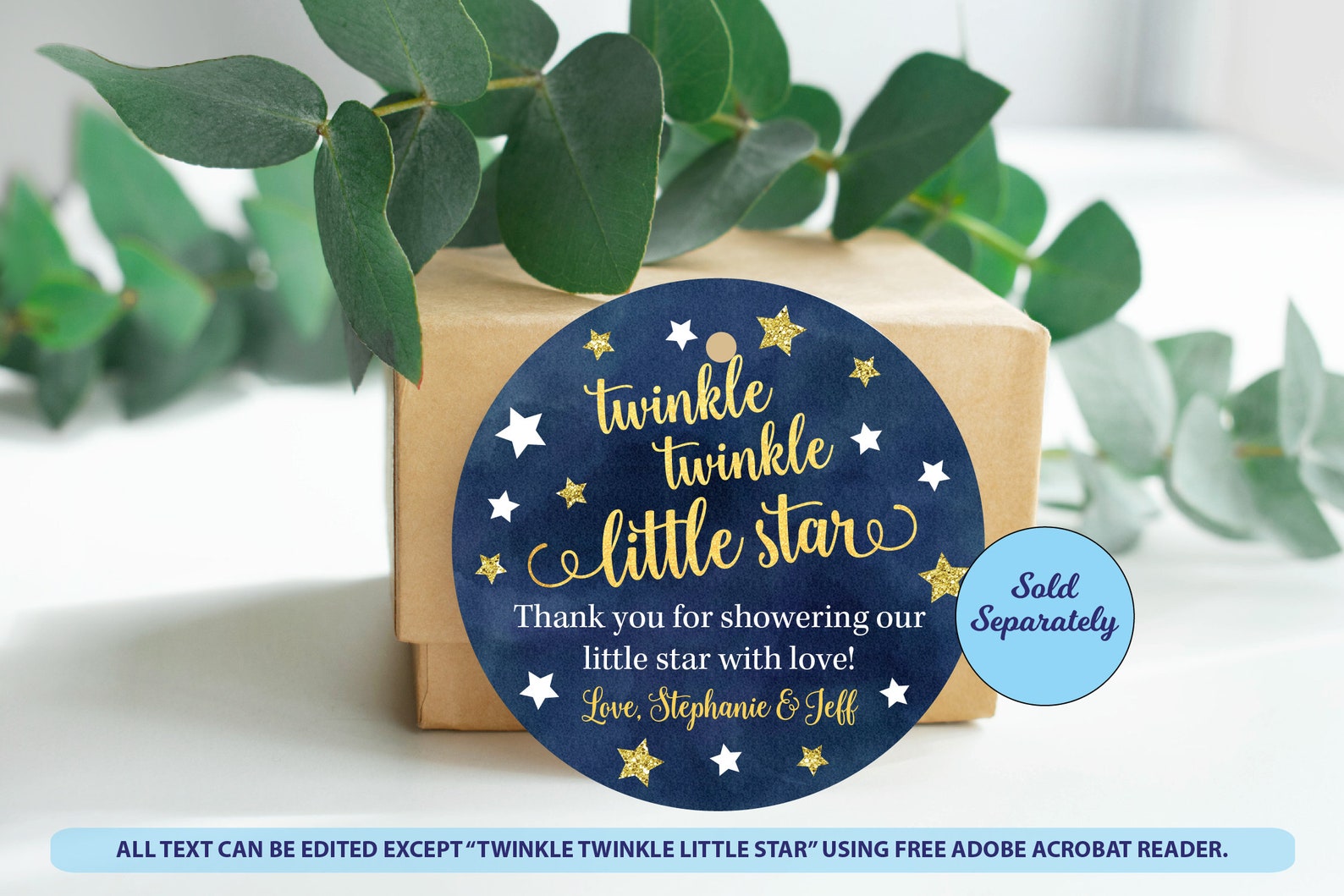 Favor Sign, Twinkle Little Star Baby Shower, Twinkle Little Star Favor ...