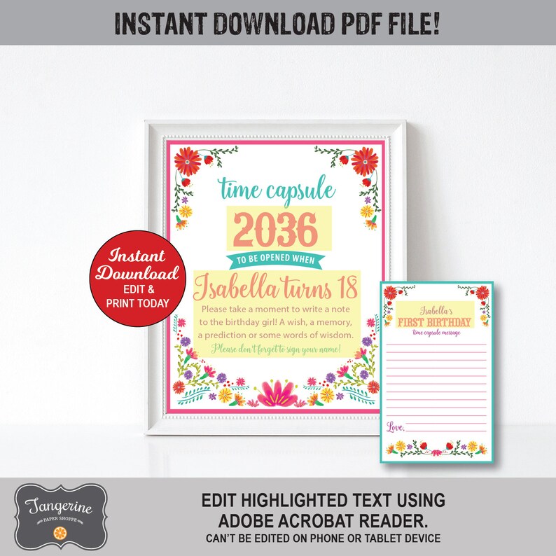 Fiesta Time Capsule First Birthday Sign Fiesta First Birthday - Etsy