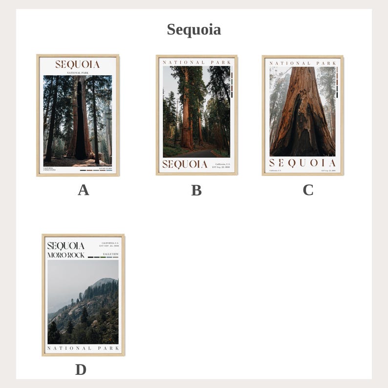 National Park Posters Set of 2 Real Photos – National Park Wall Art ...