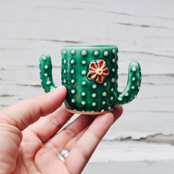 Cactus Pottery - Etsy