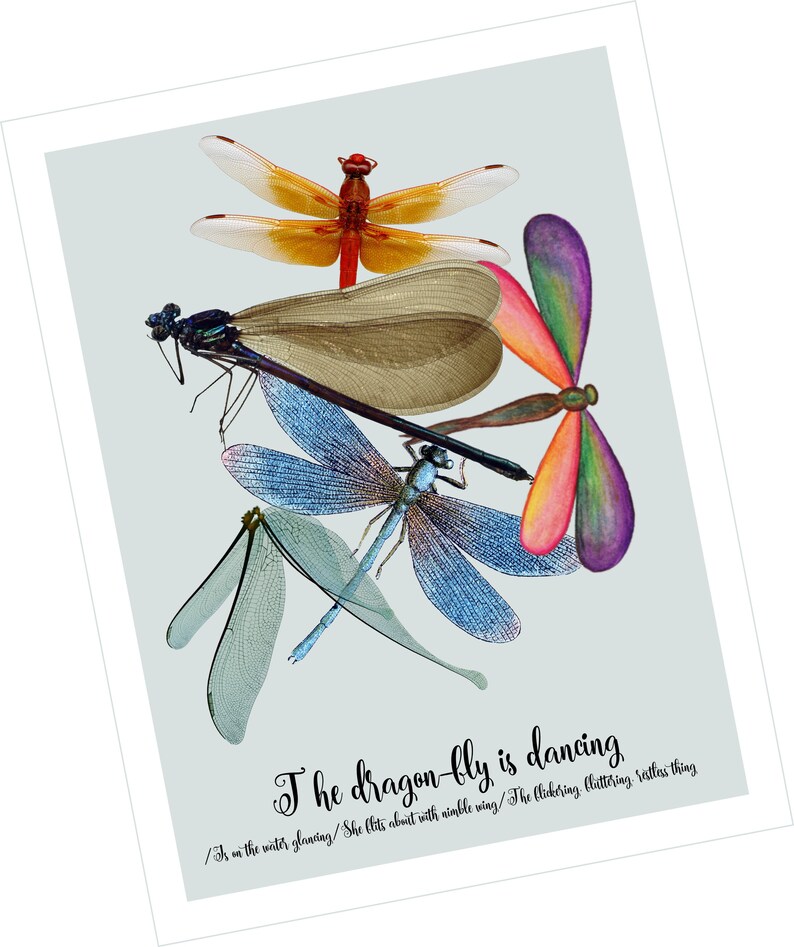 Dragon Fly Art Print Dragonfly Gifts Insect Print Abstract - Etsy
