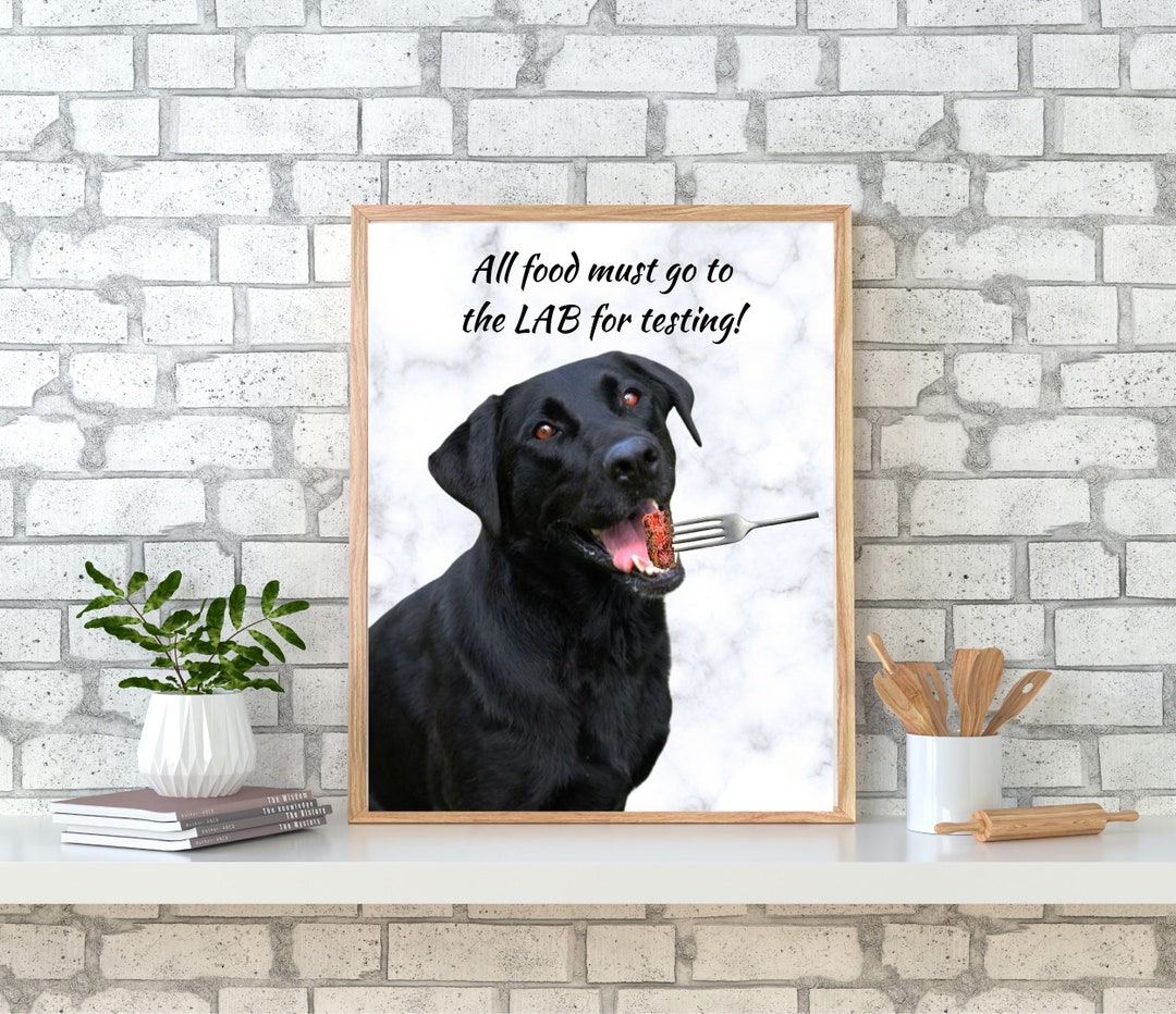 Black Labrador, Kitchen Wall Decor, Funny Dog Print, Dog Gifts - Etsy