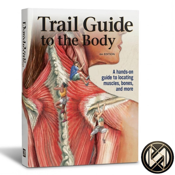 Nnbook Cg Models/ - Etsy Canada