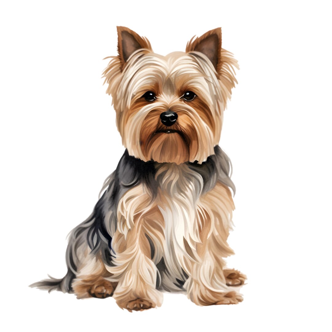 3X Yorkie Love Sticker Set, 3 Pieces Yorkshire Terrier Car Stickers ...