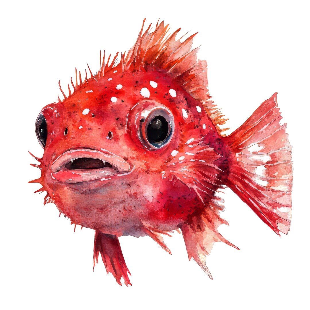 2x Pufferfish Watercolor Stickers Car Stickers Fish Sea Animal Motif ...