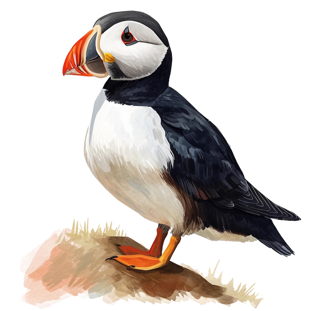 6x Puffin Stickers Watercolor Car Stickers Puffin Bird Island ...