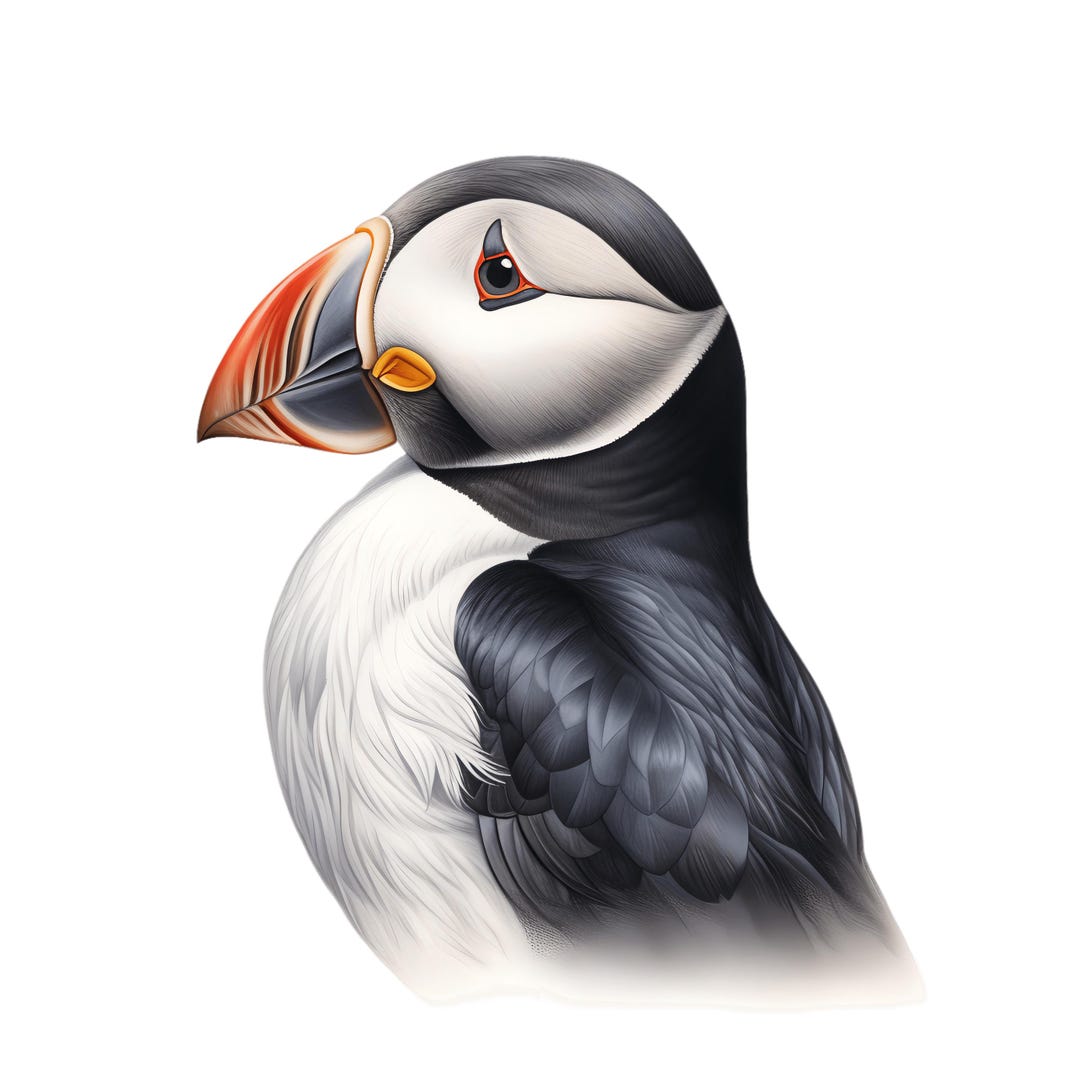 6x Puffin Stickers Watercolor Car Stickers Puffin Bird Island ...
