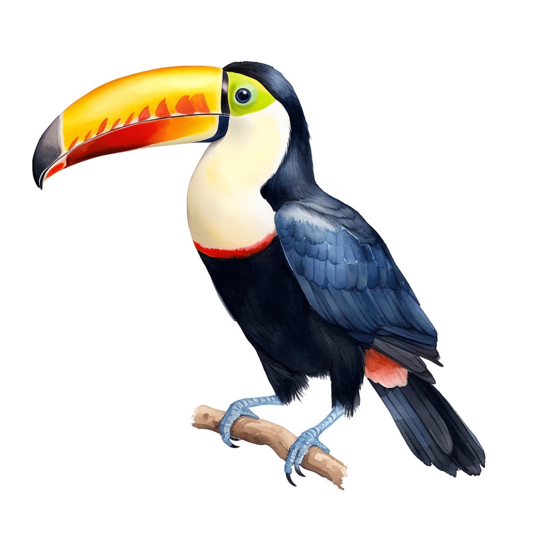 4x Toucan Stickers Tropical Bird Car Stickers Jungle Decoration ...