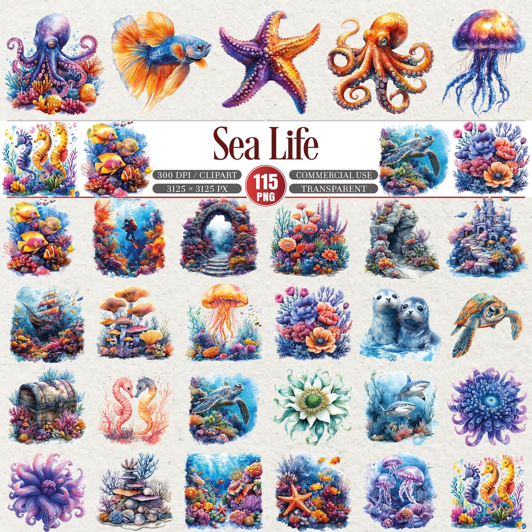 Sea Life Clipart Bundle Transparent PNG Ocean Animals - Etsy