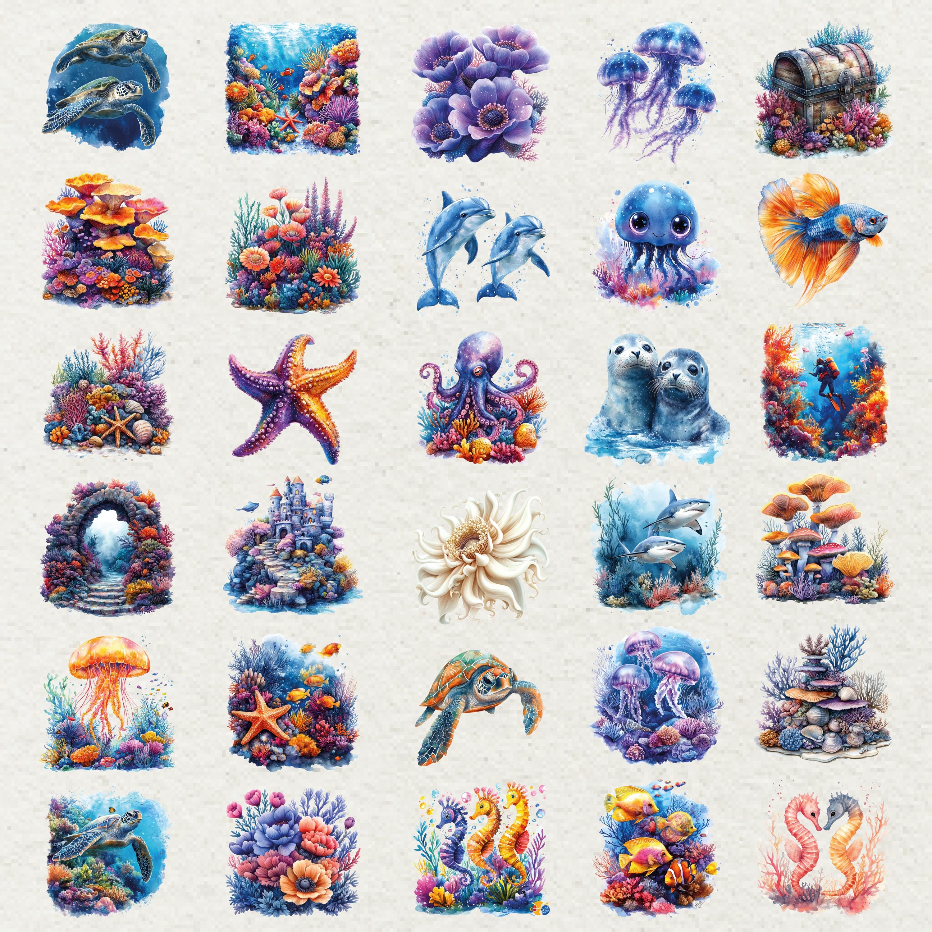 Sea Life Clipart Bundle Transparent PNG Ocean Animals - Etsy