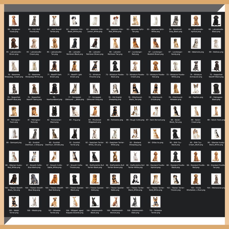 Big Dog Breeds Clipart Bundle Labeled Dog PNG Set - Etsy