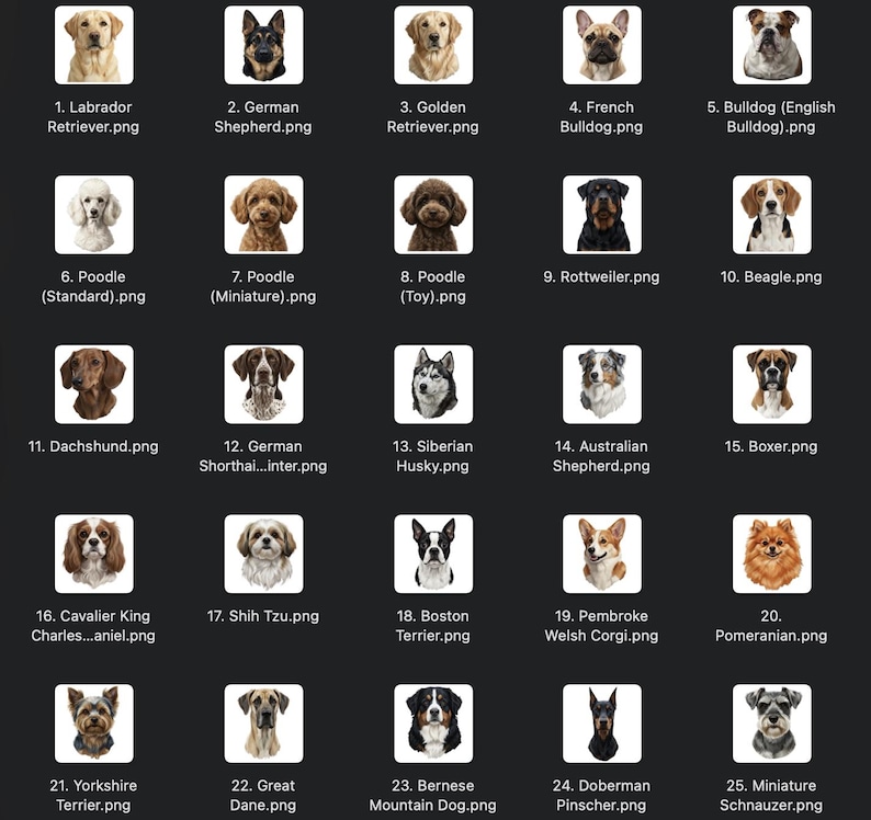 Dog Breed Portraits Clipart Realistic Dog Illustration PNG Set - Etsy