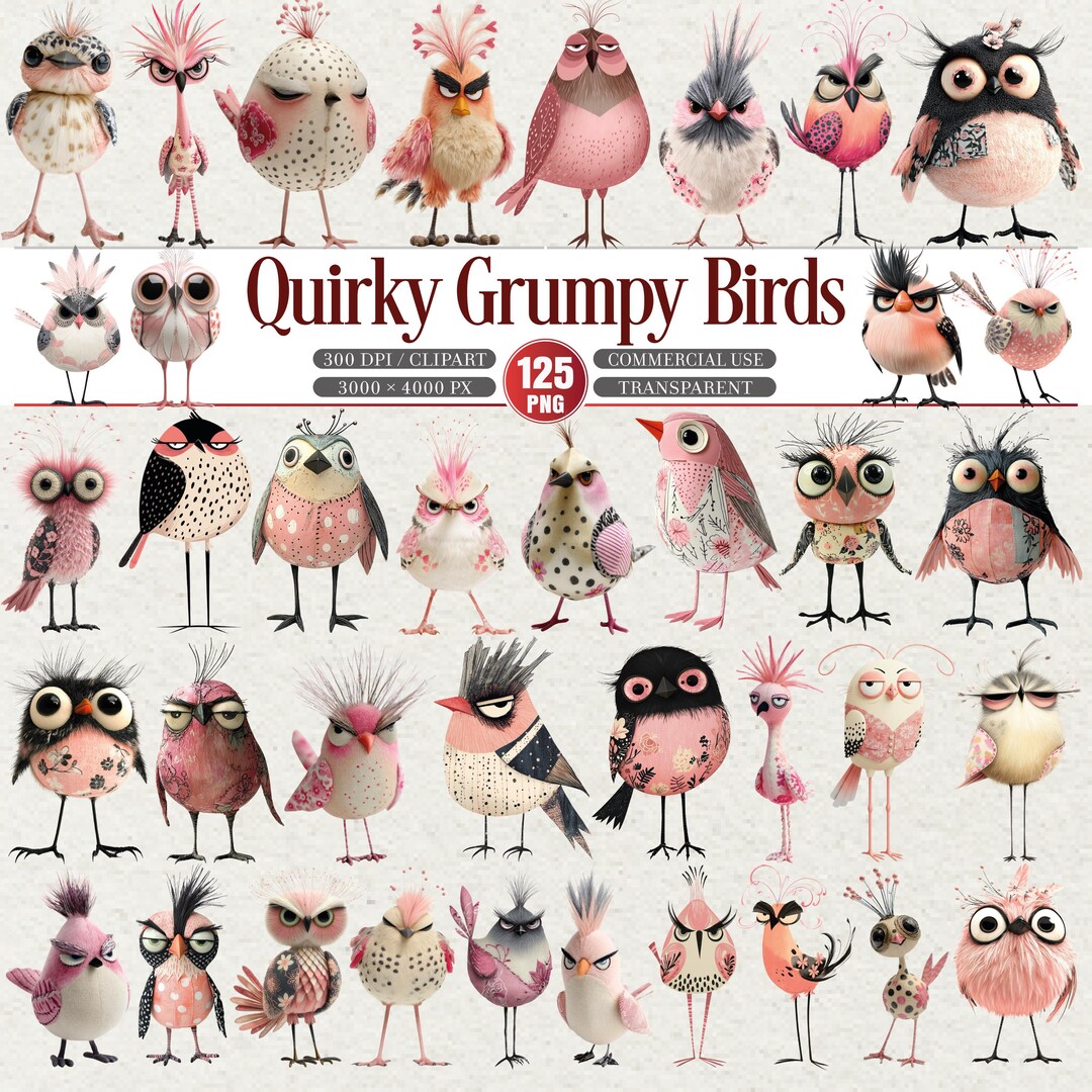 Quirky Grumpy Birds Clipart Bundle 125 PNG - Etsy