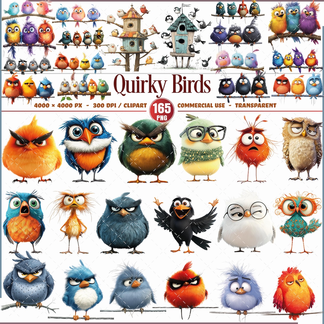 Quirky Birds Clipart Bundle Funny Cartoon Bird PNG Commercial Use - Etsy