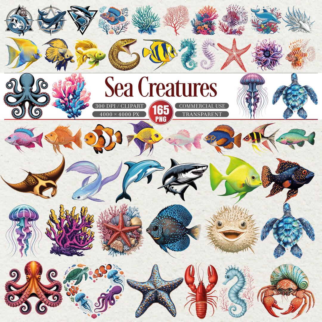 Sea Creatures Clipart Bundle 165 PNG Ocean Animals Art - Etsy