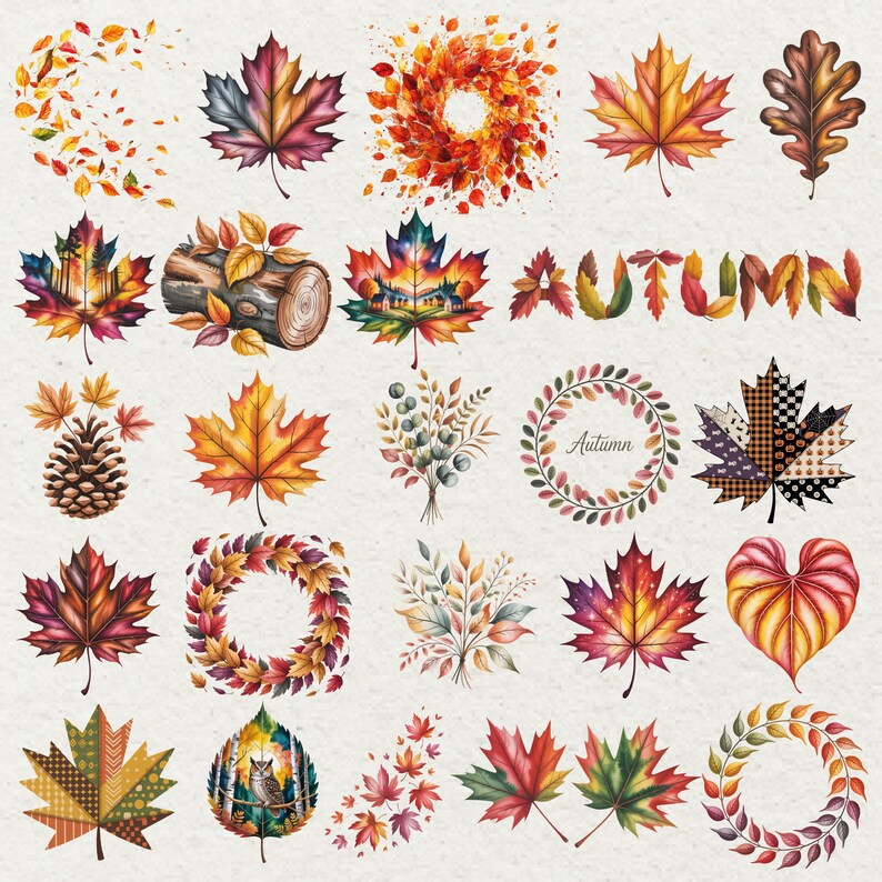 Autumn Leaves Clipart Set | Fall Foliage 300 DPI PNG - Etsy