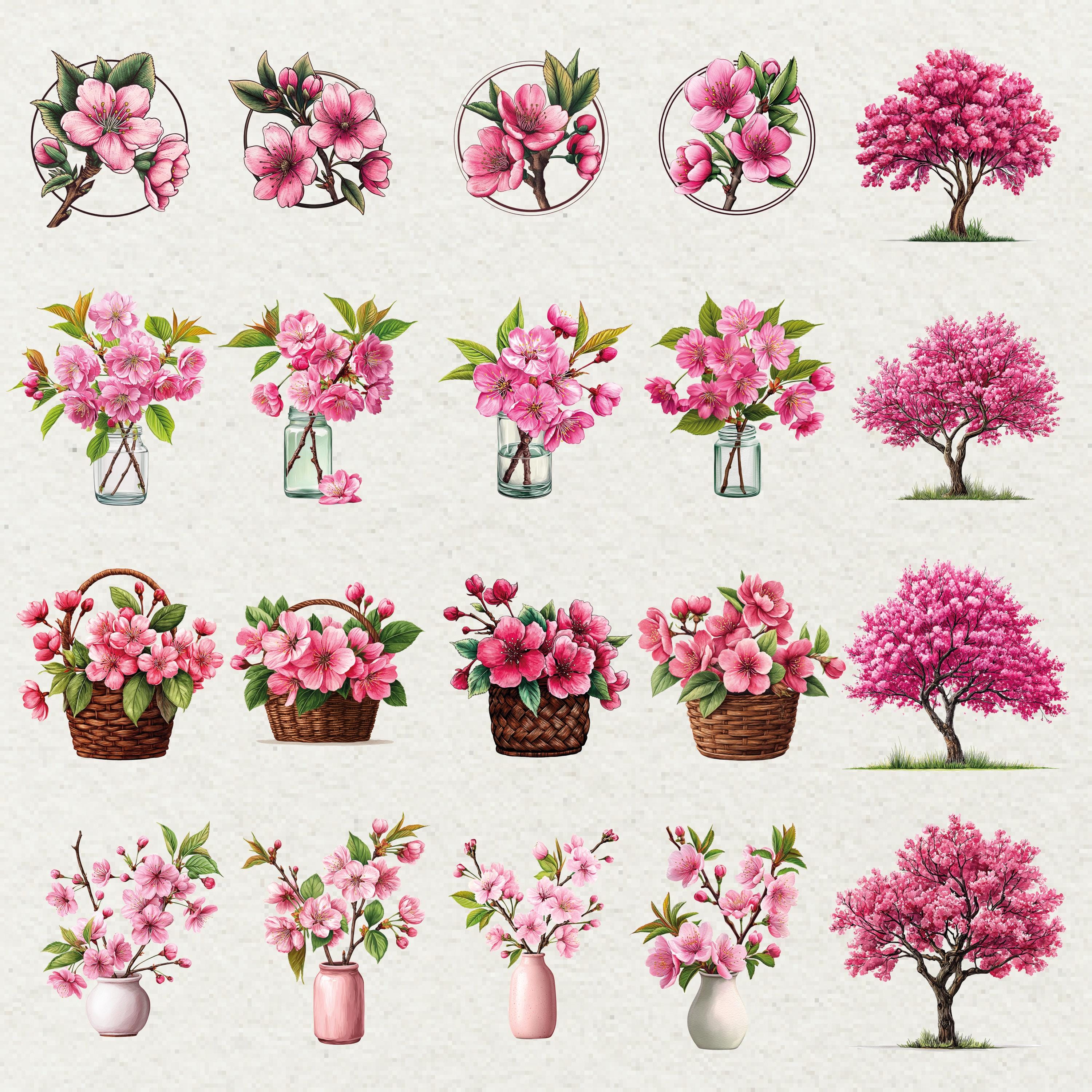 Cherry Blossom Clipart Bundle 180 PNG Transparent Commercial Use - Etsy