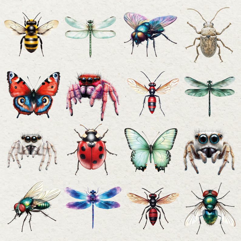 Insects Clipart Bundle 110 PNG Botanical Illustrations - Etsy