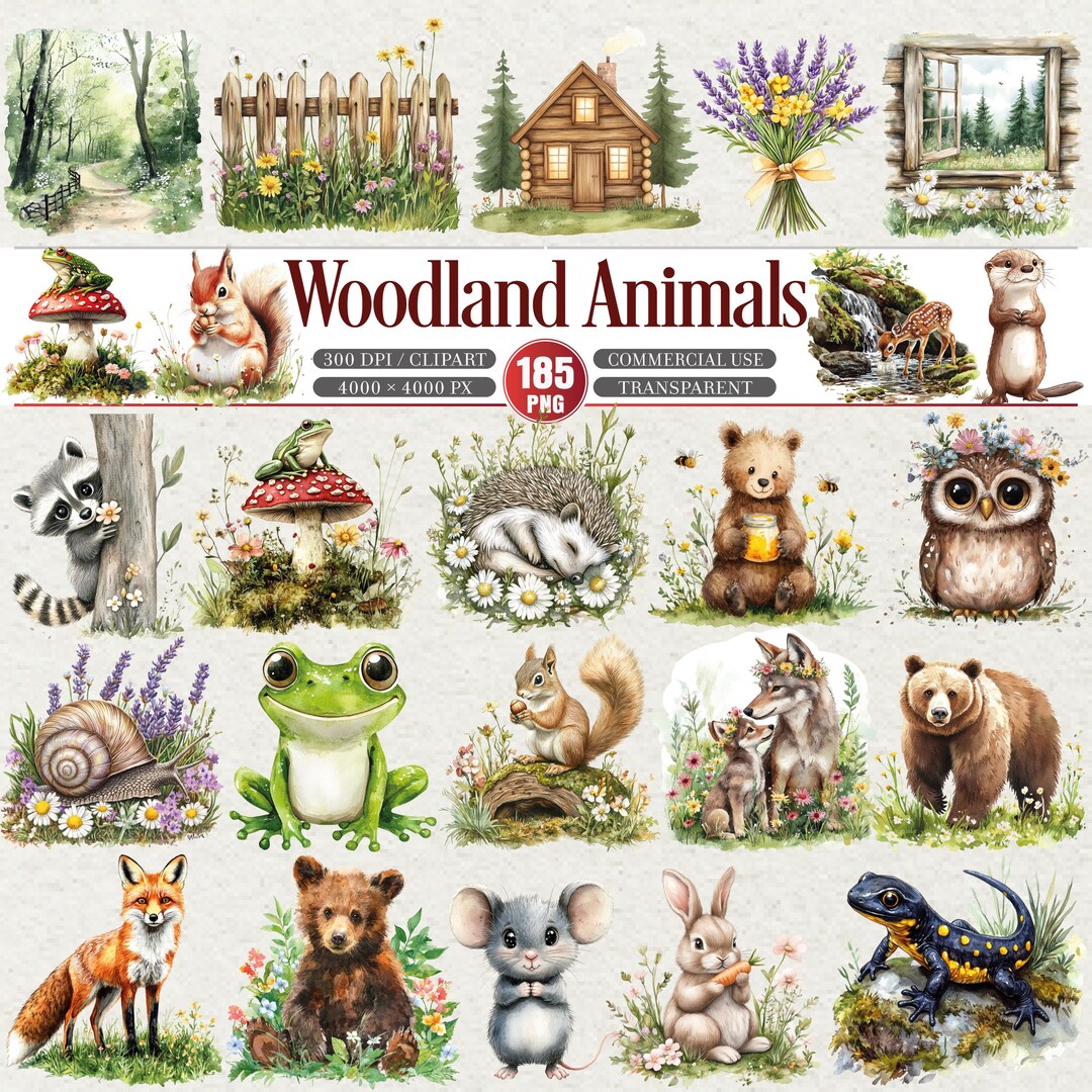 Woodland Animals Clipart Bundle 185 PNG Commercial Use - Etsy