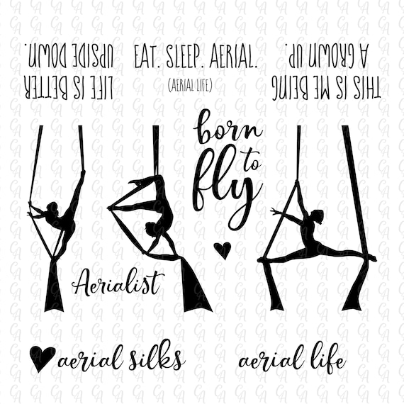 Aerial Silk Quotes