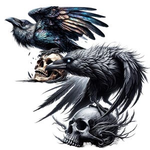 Dark Raven Clipart – 30 PNG Transparent Backgrounds, Gothic Bird Art ...