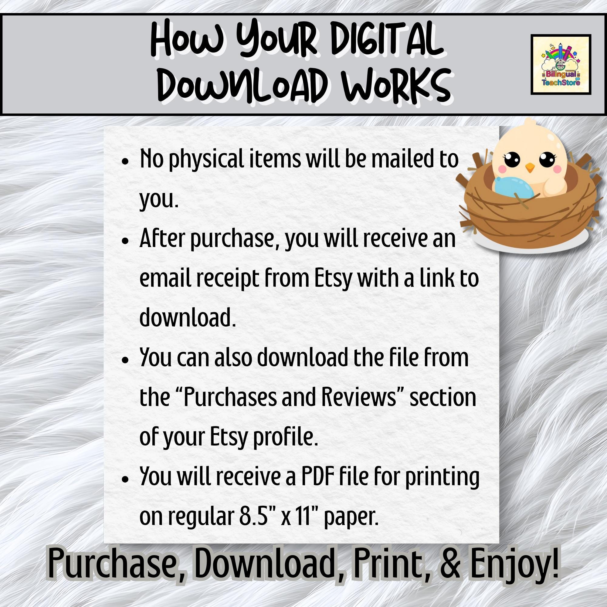 Bilingual ABC Flashcards English & Spanish, A-Z + Ñ, No Prep, Digital ...