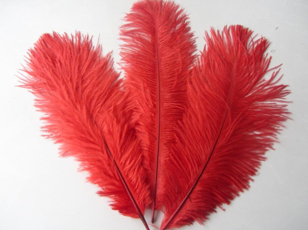 100pcs Red Ostrich Feather for Wedding Table Centerpiece,feather ...