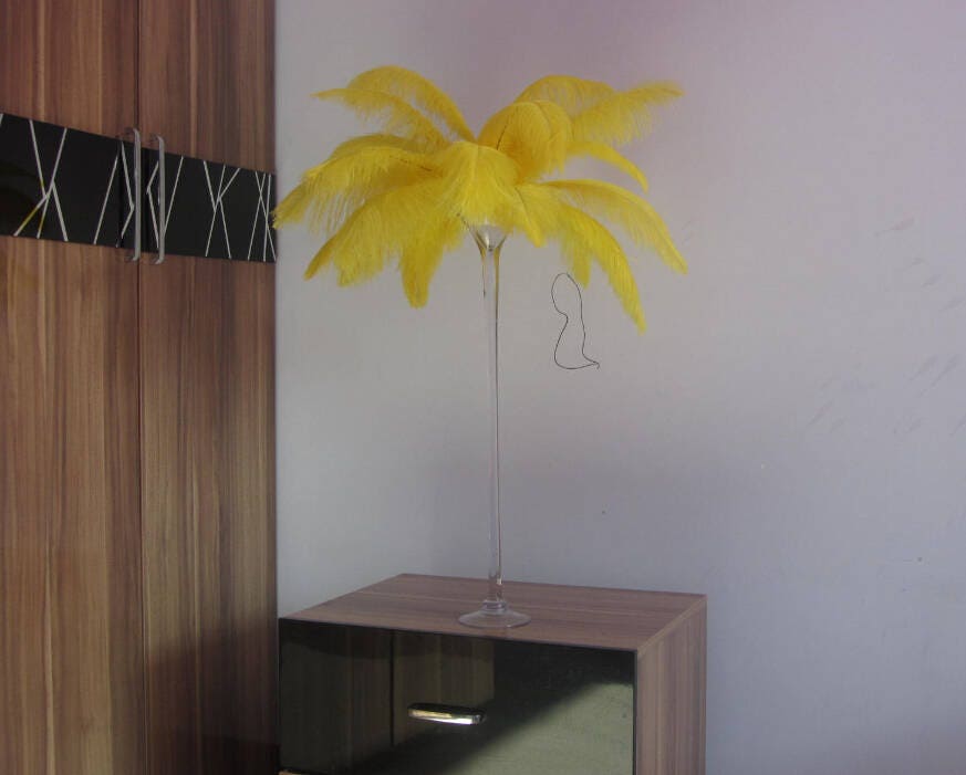 100pcs ostrich feather for wedding table centerpiecefeather | Etsy