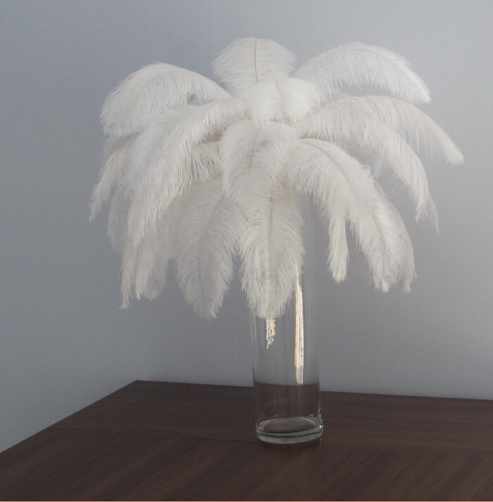 6pcs/lot 5-21 pouces long panache de plumes dautruche blanc - Etsy France