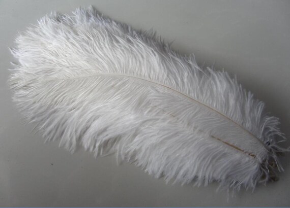 White 100pcs Snow White ostrich feather for wedding table | Etsy