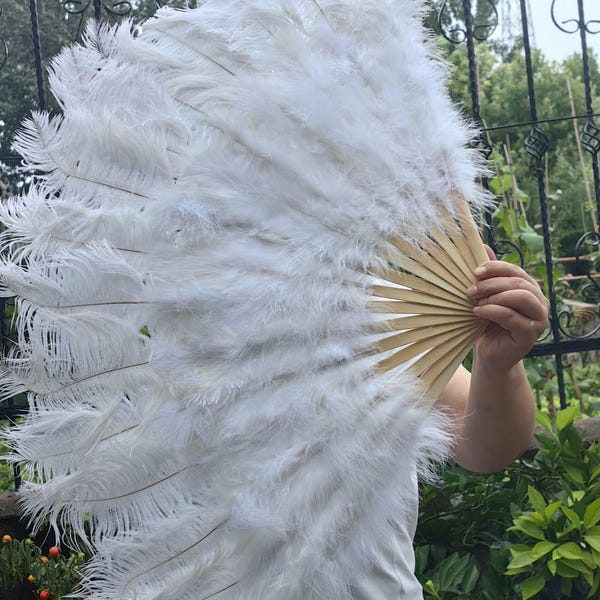 Feather Fan - Etsy