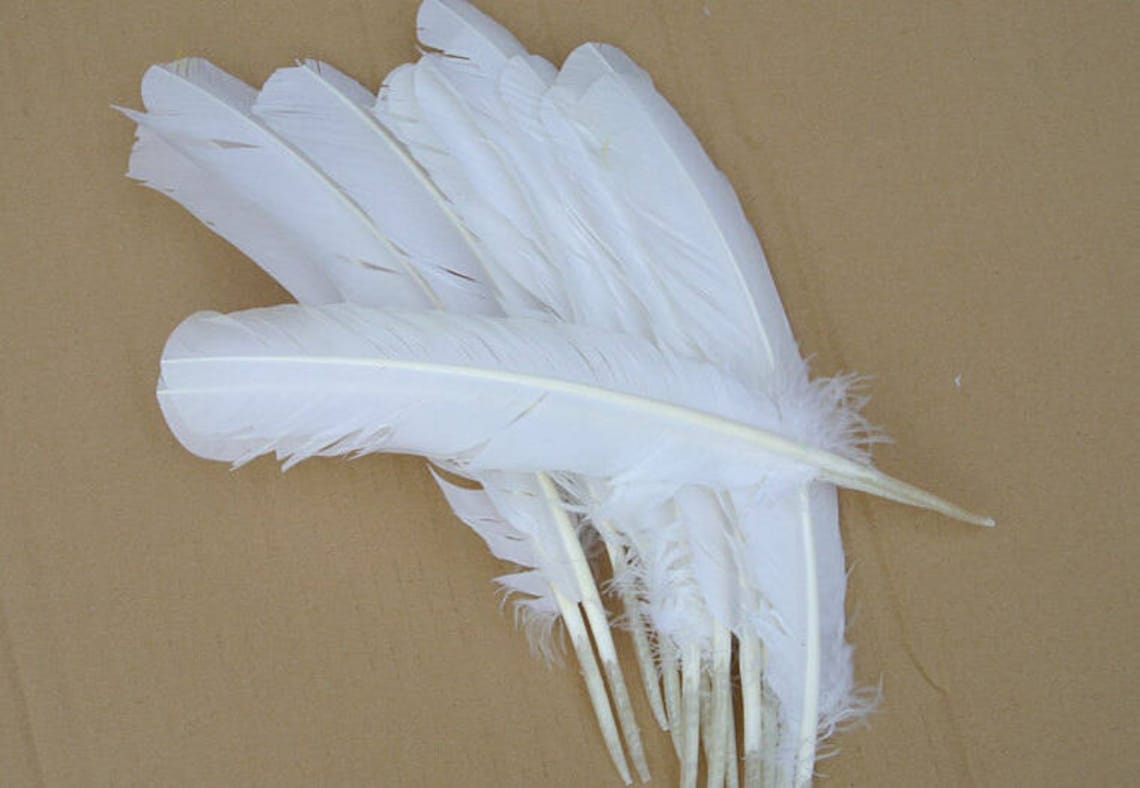 100pcs white Turkey Wing Quill Feather for Showgirl Costume | Etsy