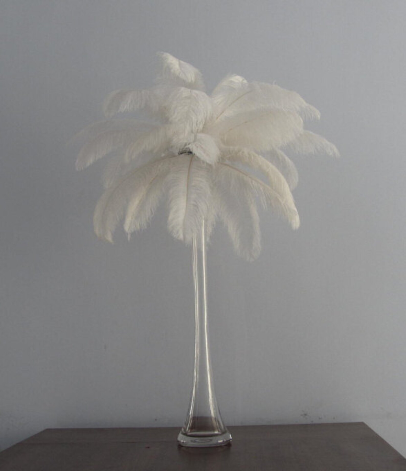 6pcs/lot 5-21 pouces long panache de plumes dautruche blanc - Etsy France