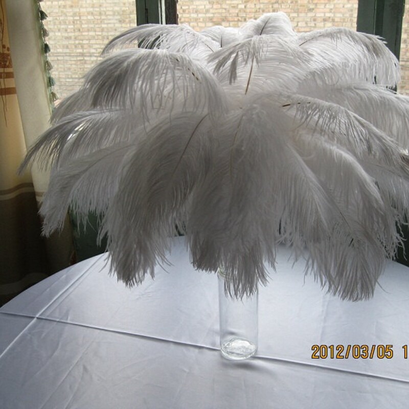 Feather Centerpiece - Etsy