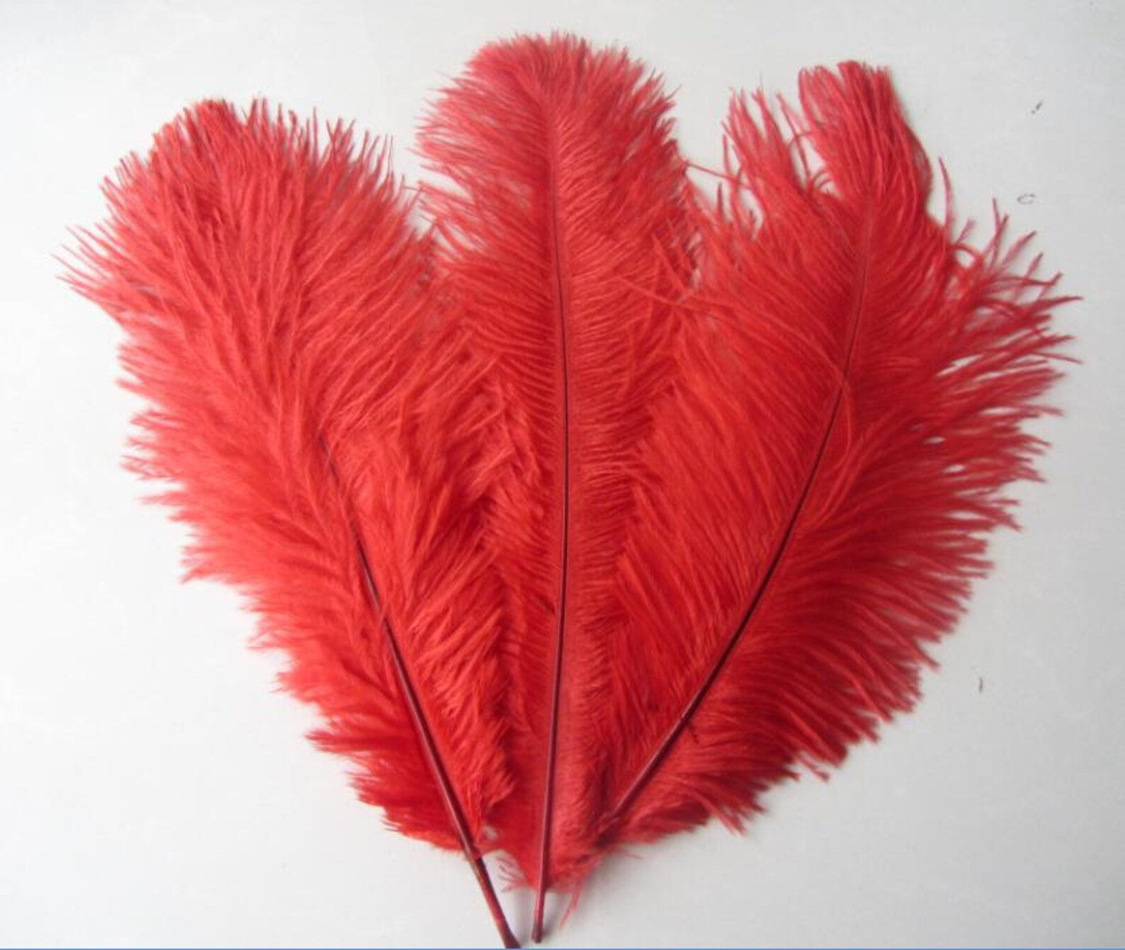 100 Red 14-16inch Ostrich Feathers for Wedding Table - Etsy