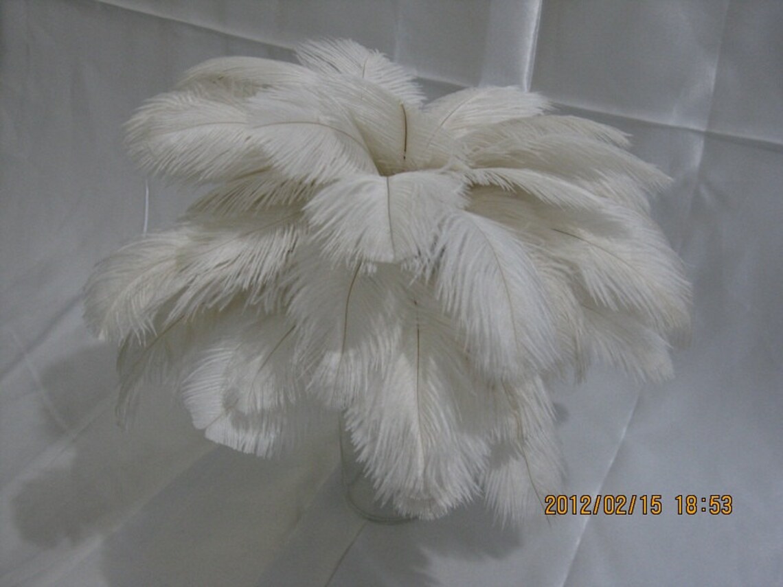 100pcs/lot One Color 6-8 15-20cm Ostrich Feather for - Etsy