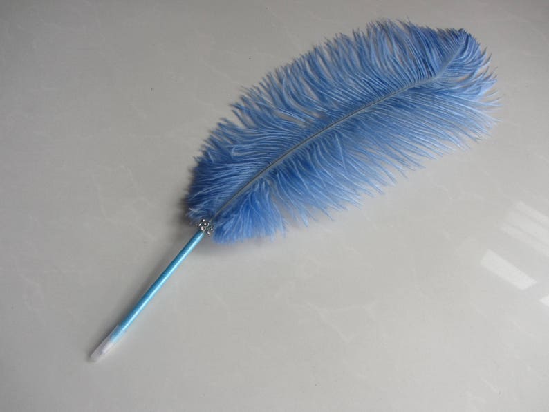 2pcs/pack Sky Blue Ostrich Feather Guest Book Pen for Wedding - Etsy