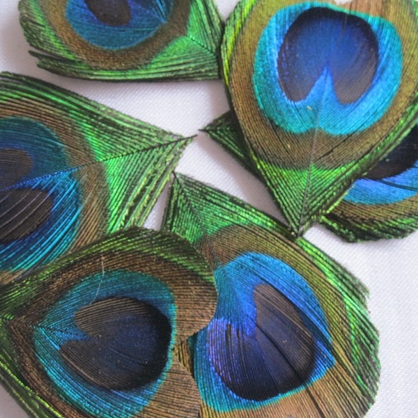 Feather Shape - Etsy